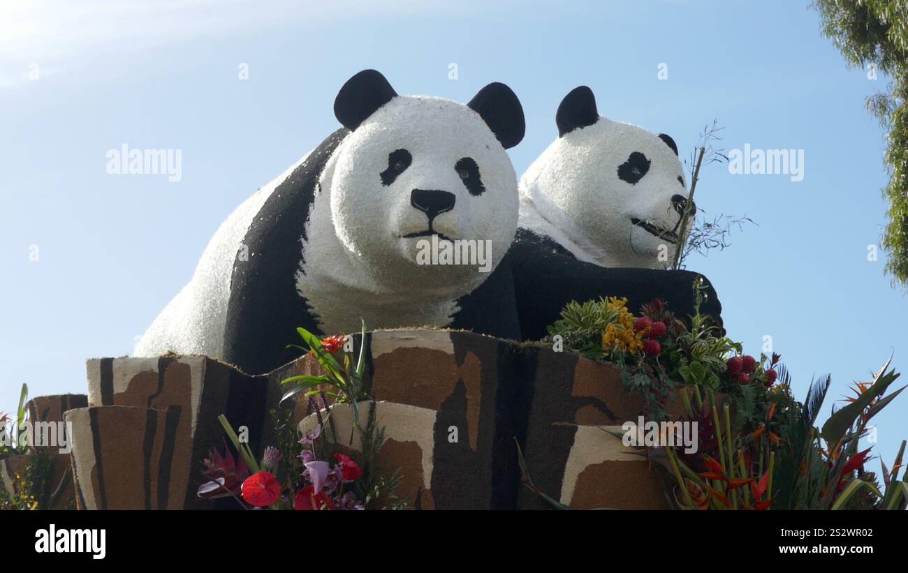 Pasadena, California, USA 3rd January 2025 at 2025 Pandas on San Diego ...