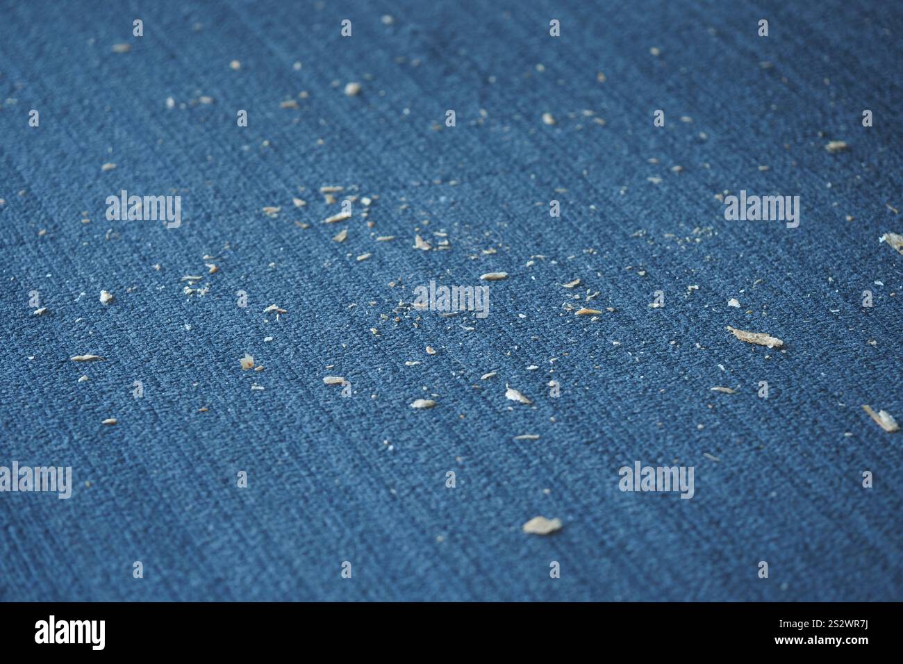 Small Dust Particles on a Blue Fabric Surface Are Visible to the Eye ...