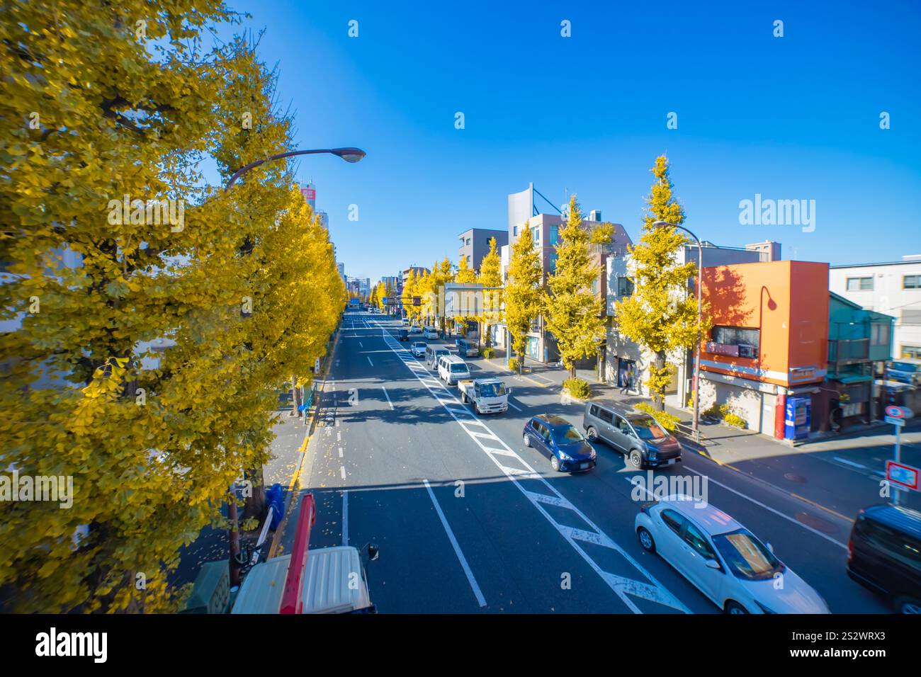 A traffic jam at street with yellow gingko trees in Tokyo wide shot ...
