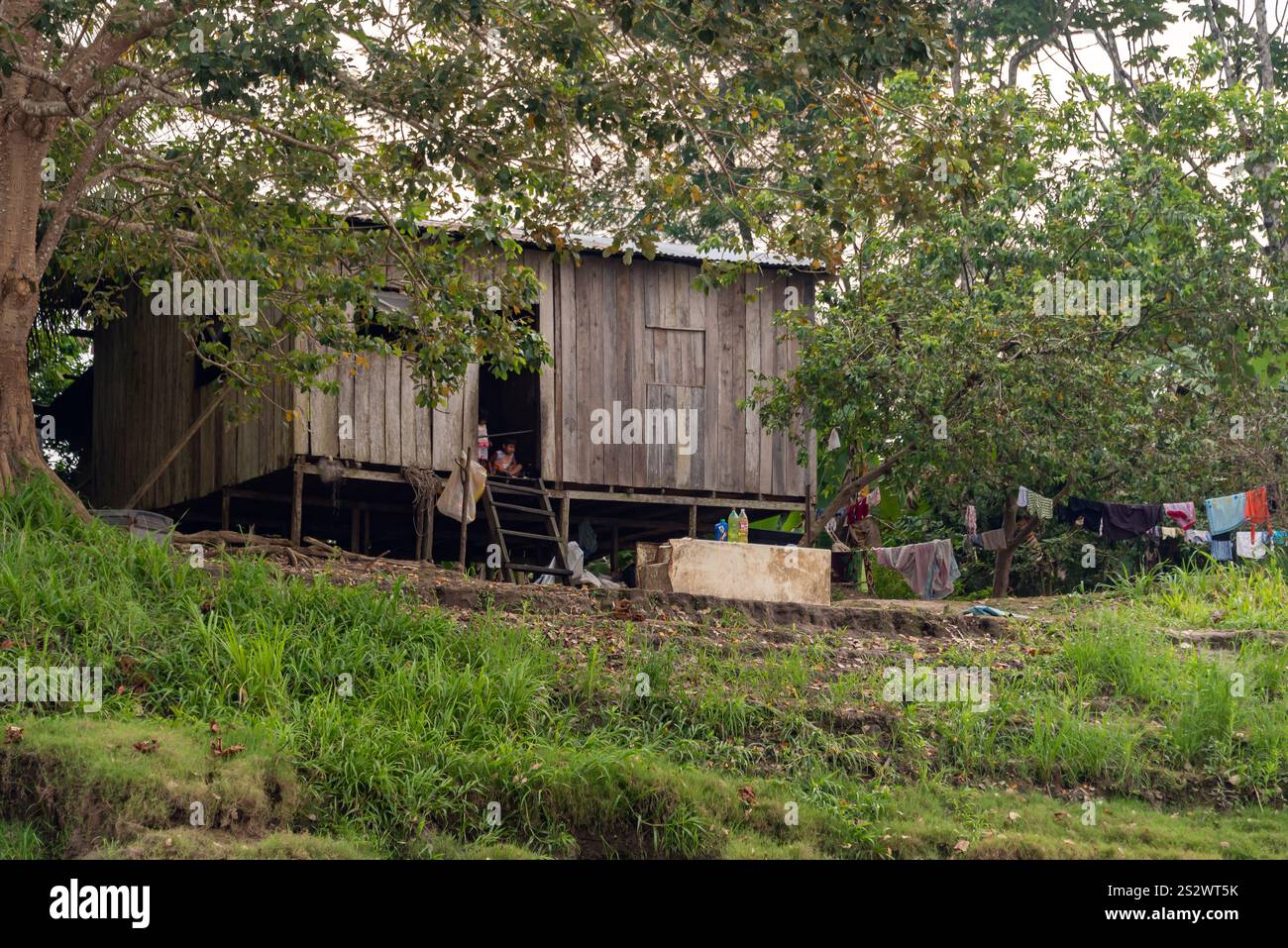 Amazonas indigenous home, at the Amazonas river shore. Mocagua ...