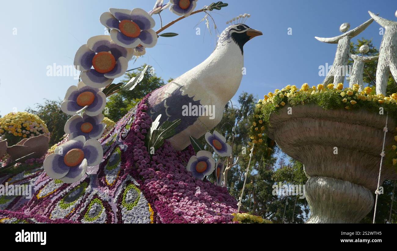 Pasadena, California, USA 3rd January 2025 at 2025 Peacocks Float at ...