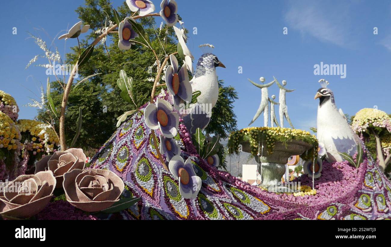 Pasadena, California, USA 3rd January 2025 at 2025 Peacocks Float at ...