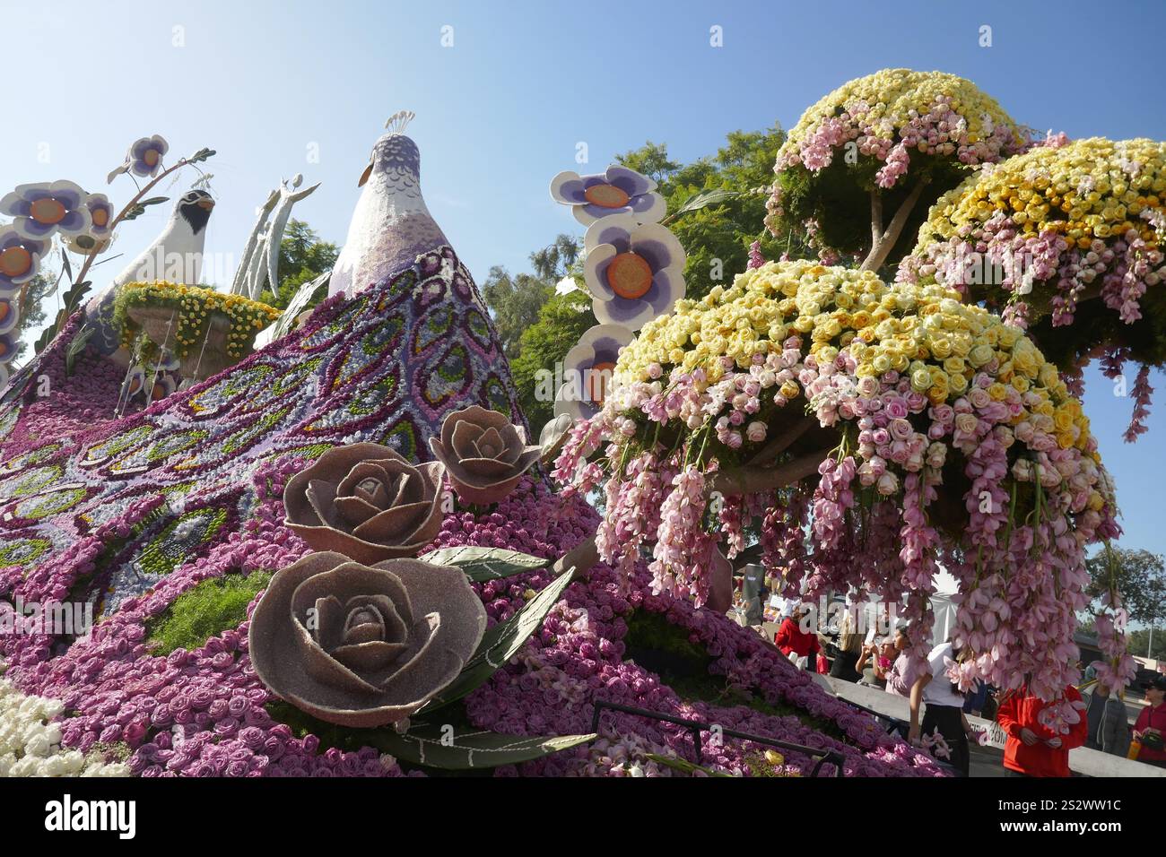 Pasadena, California, USA 3rd January 2025 at 2025 Peacocks Float at ...
