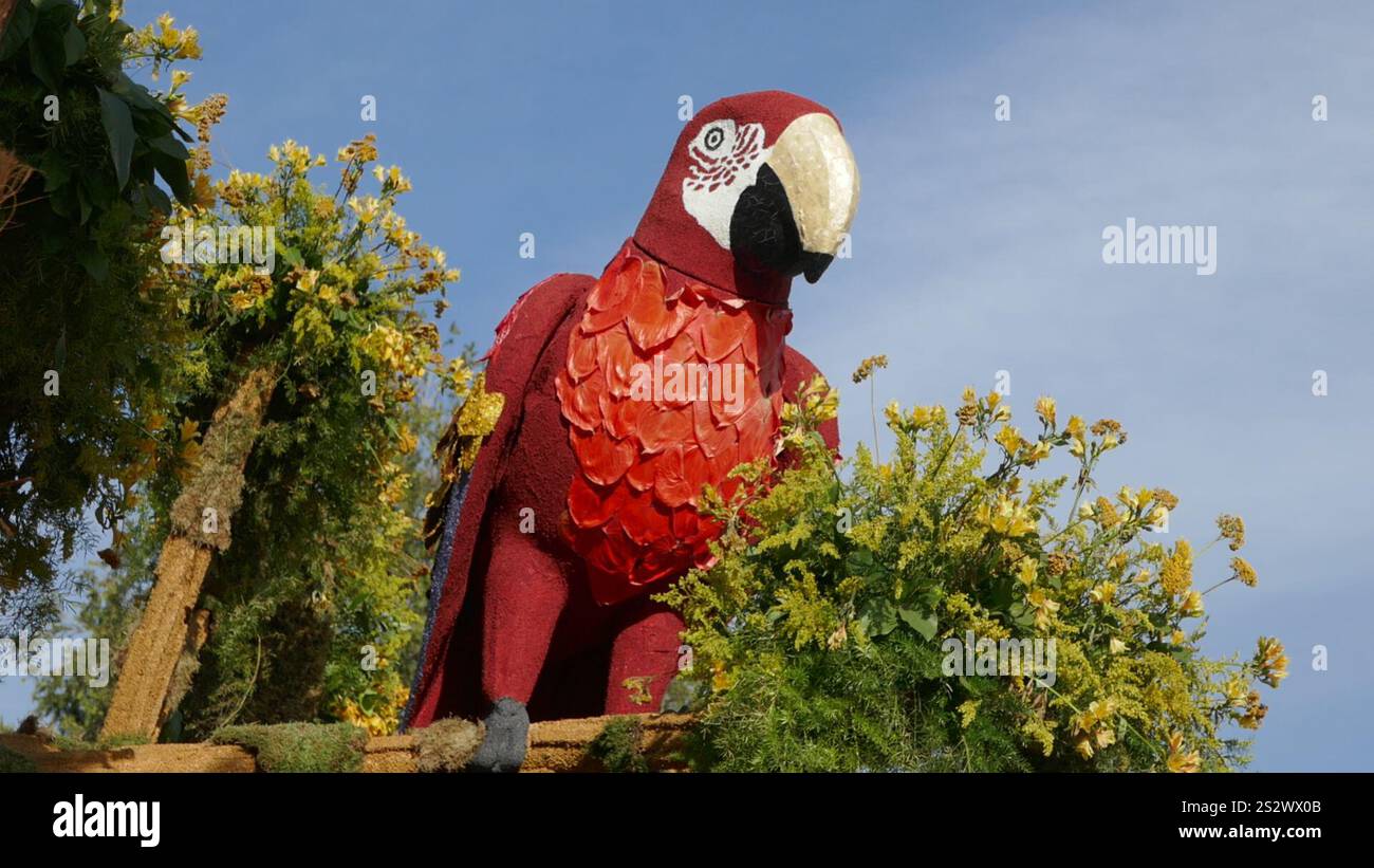 Pasadena, California, USA 3rd January 2025 at 2025 Macaw on City of ...