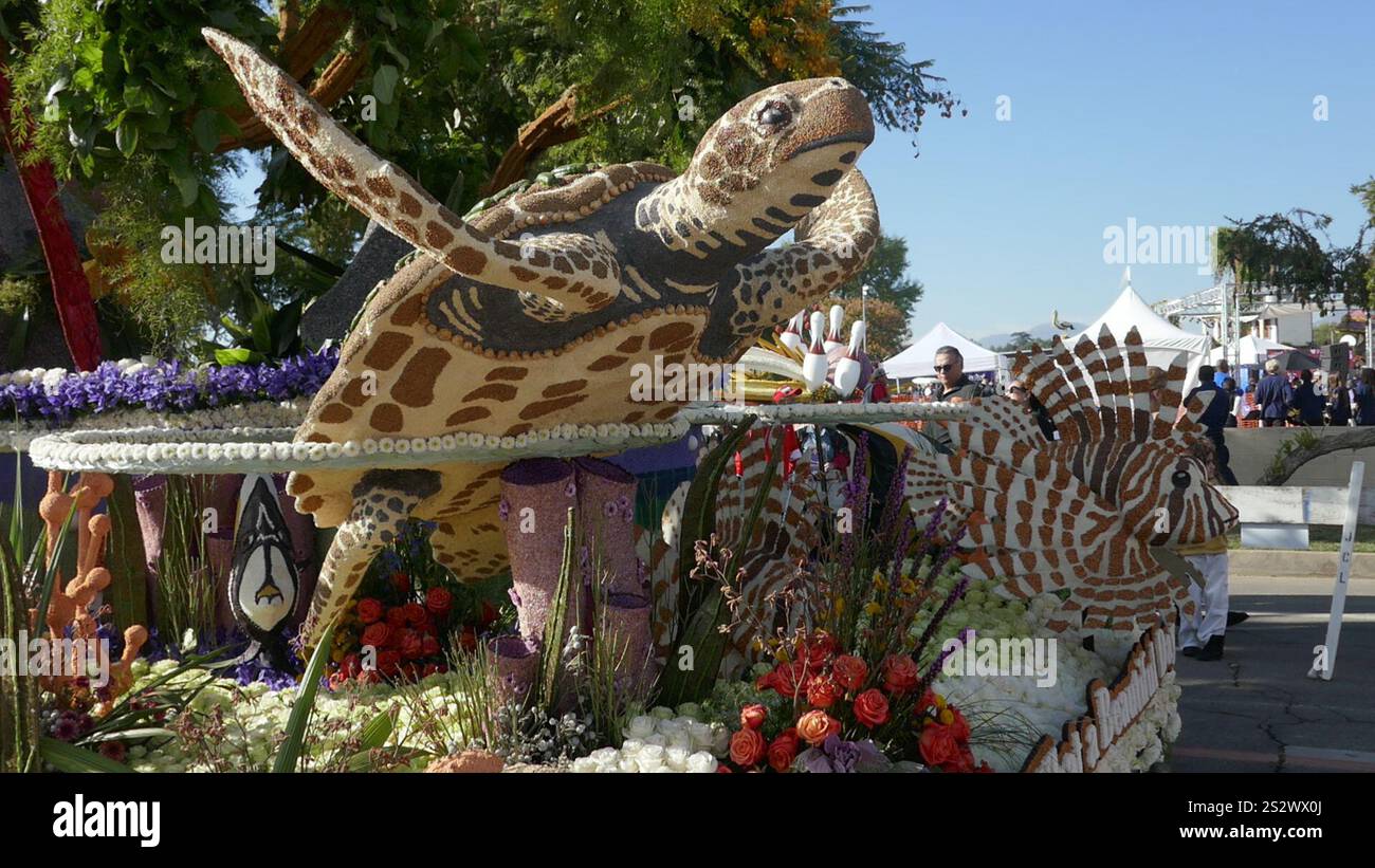 Pasadena, California, USA 3rd January 2025 at 2025 Sea Turtle on City ...