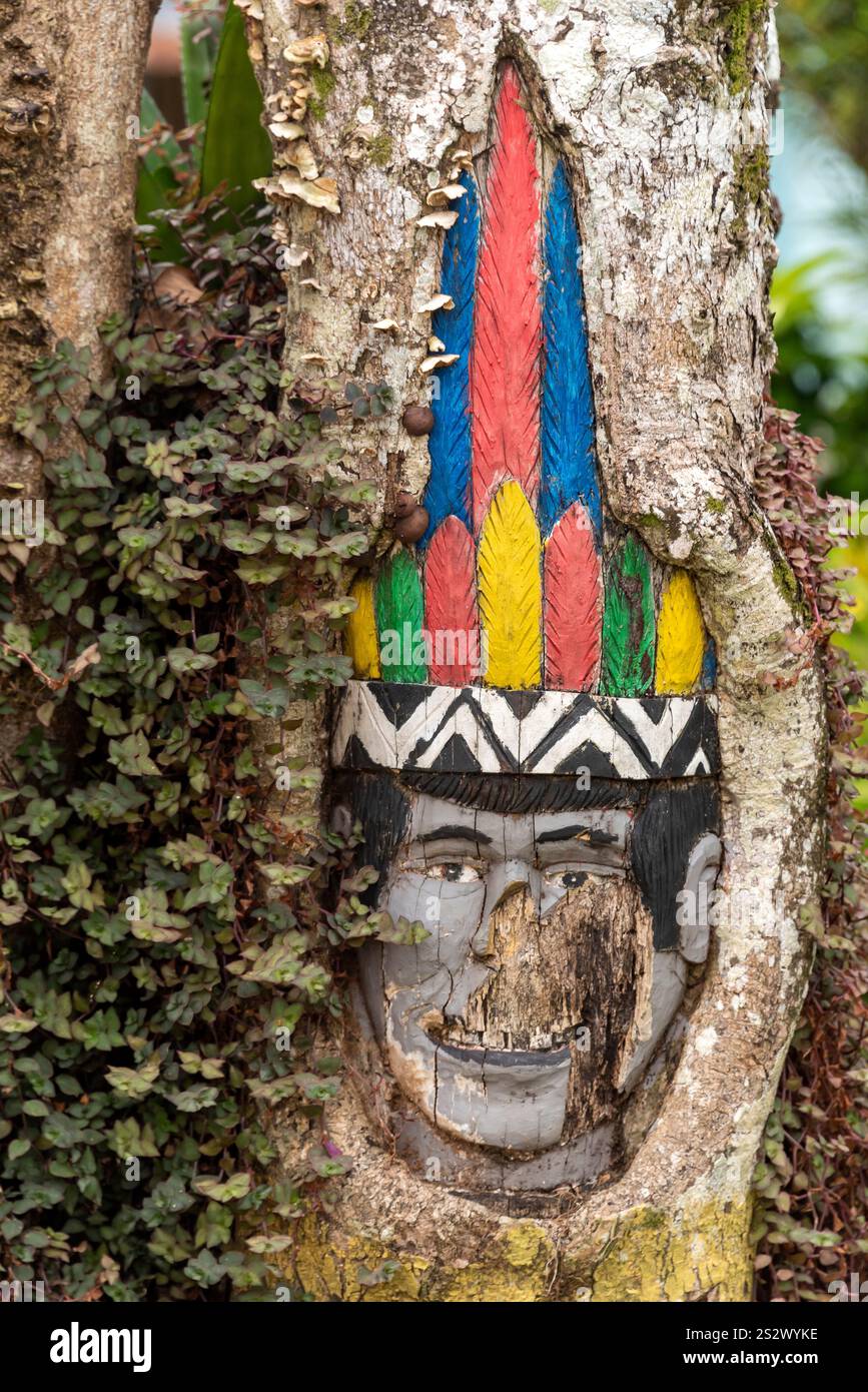 Indigenous face painted ans sculptured on a tree. Puerto Nariño ...