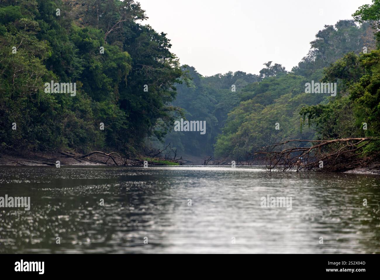 Tarapoto river and lake that flows into Amazonas River. Nariño Port ...