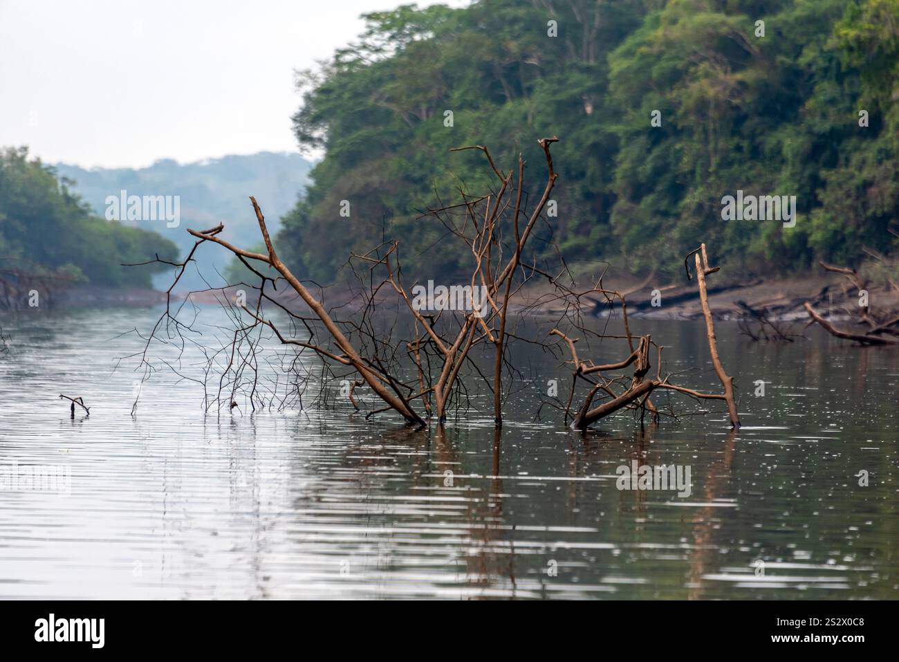 Tarapoto river and lake that flows into Amazonas River. Nariño Port ...