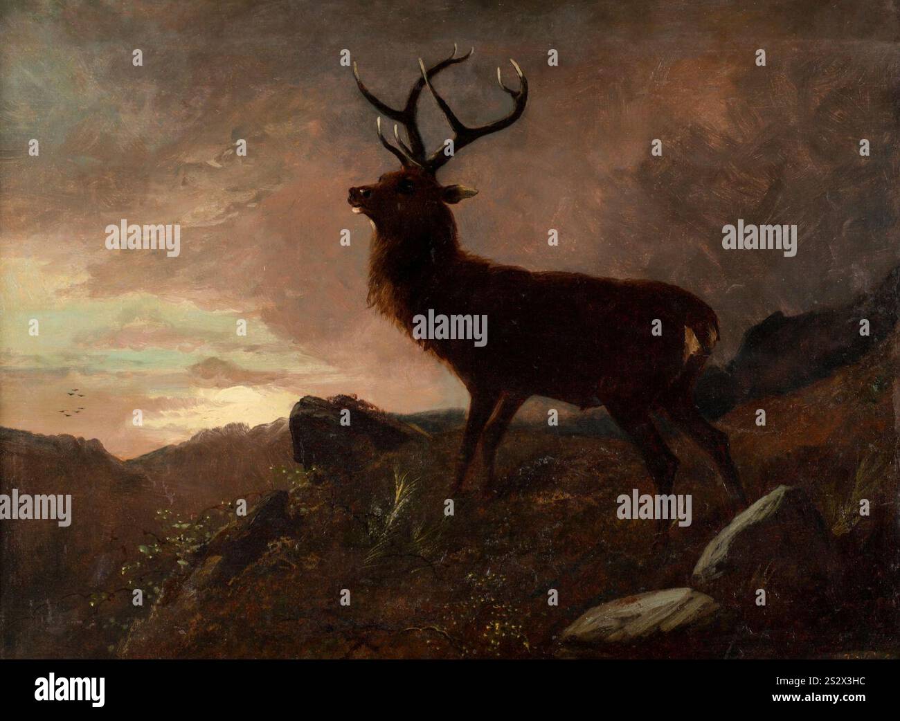 Franz Xaver von Pausinger Hirsch bei Dämmerung Stock Photo - Alamy