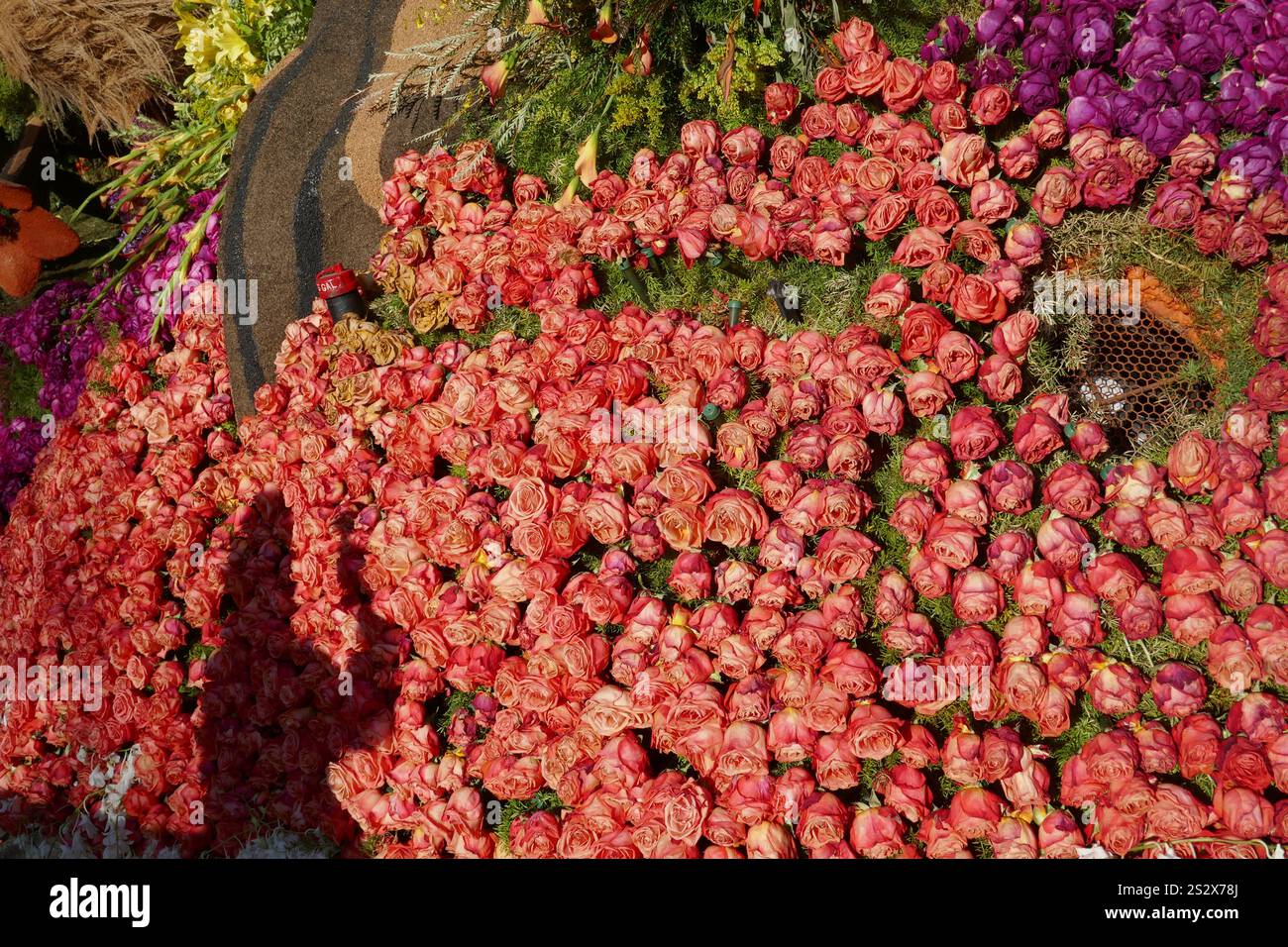 Pasadena, California, USA 3rd January 2025 at 2025 Float at Floatfest ...