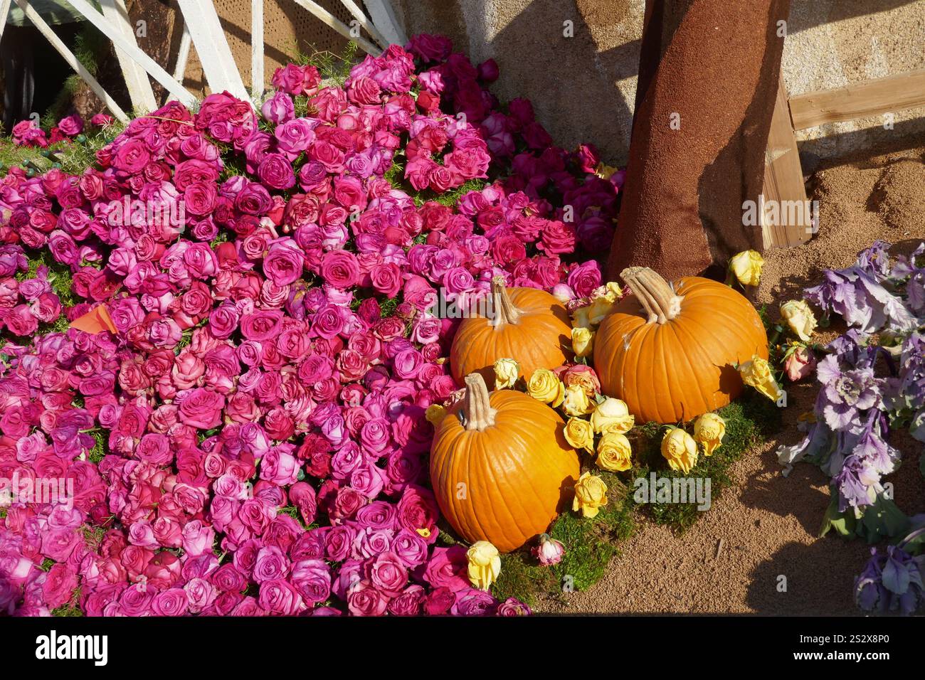 Pasadena, California, USA 3rd January 2025 at 2025 Pumpkins and Roses on Float at Floatfest Rose ...