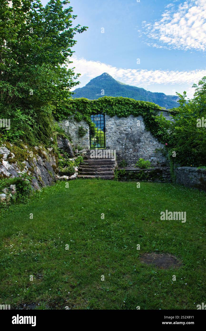 Golling an der Salzach, Austria - June 15, 2021: Vines growing on a ...