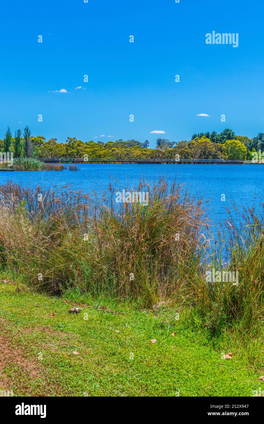 Lake Canobolas is a man-made reservoir located near Orange at the foot ...