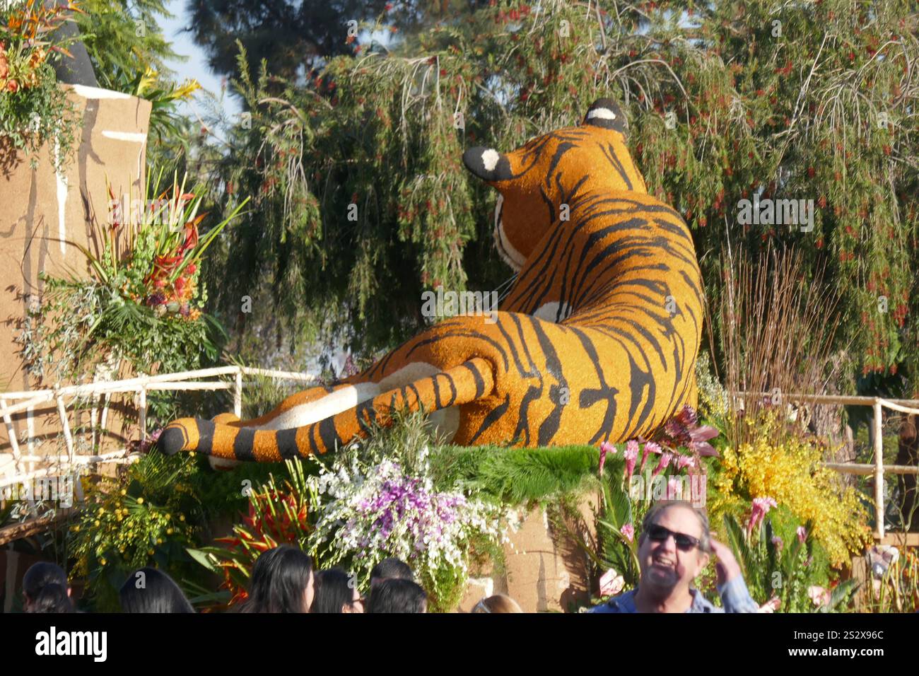 Pasadena, California, USA 3rd January 2025 at 2025 Tiger on San Diego ...