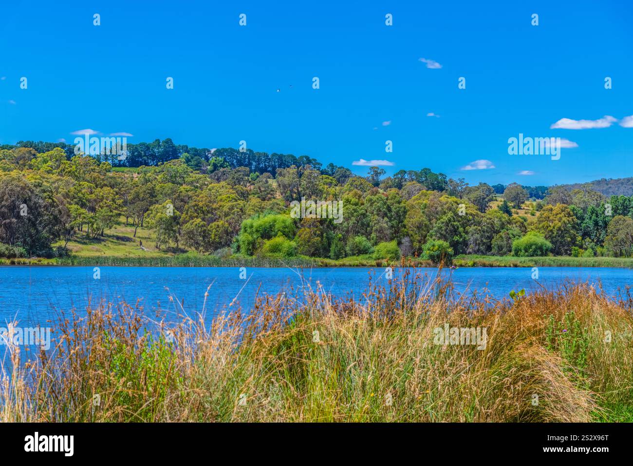 Lake Canobolas is a man-made reservoir located near Orange at the foot ...