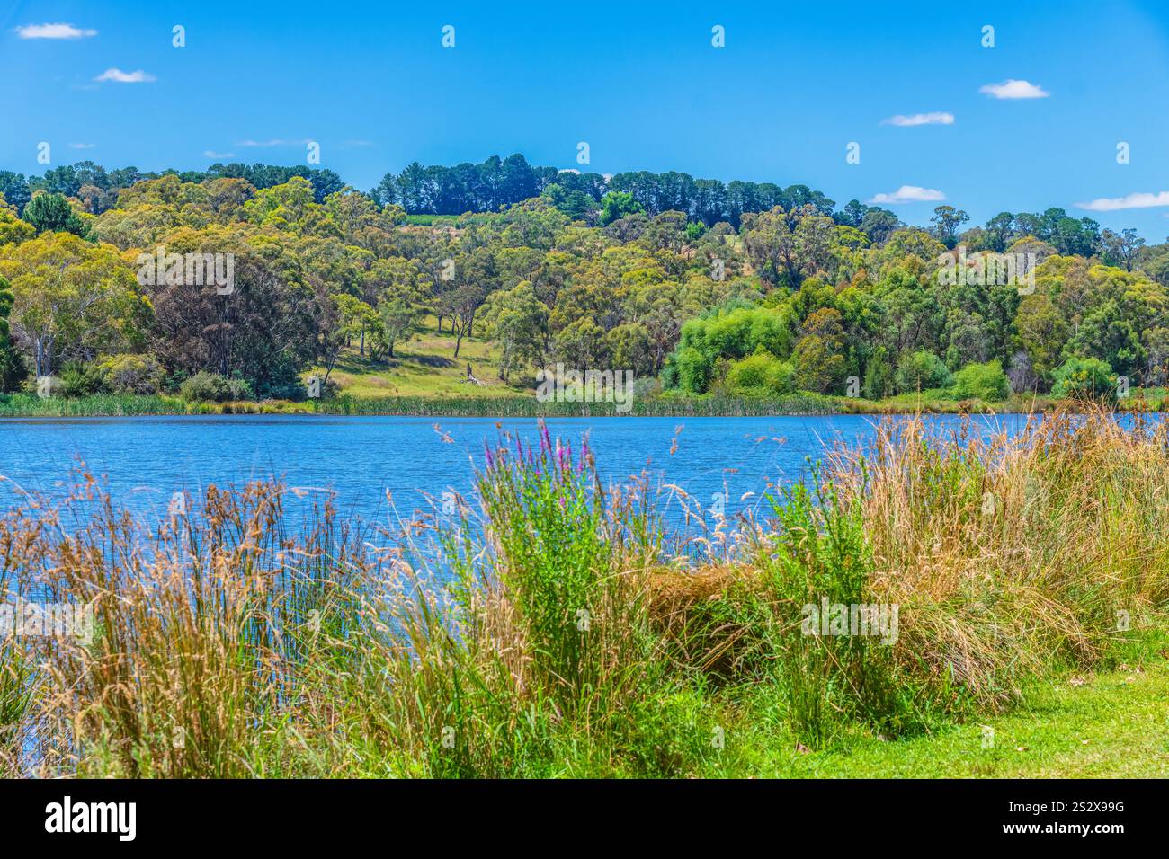 Lake Canobolas is a man-made reservoir located near Orange at the foot ...