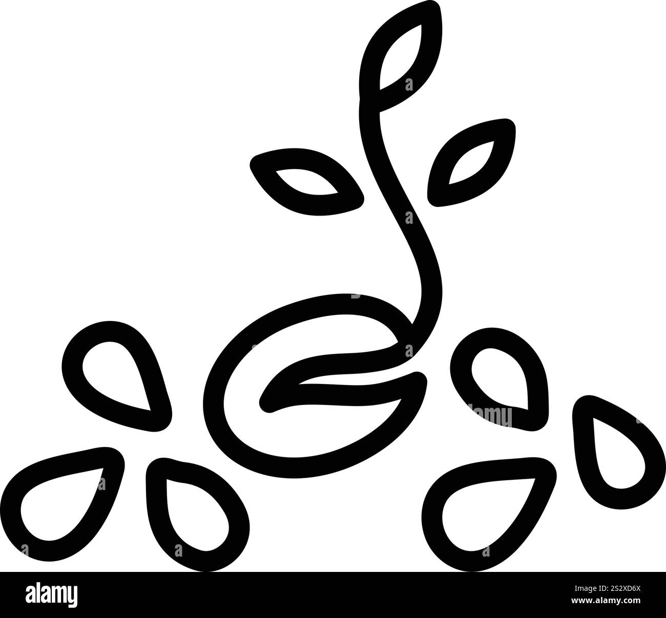 Seeds growing Black and White Stock Photos & Images - Alamy