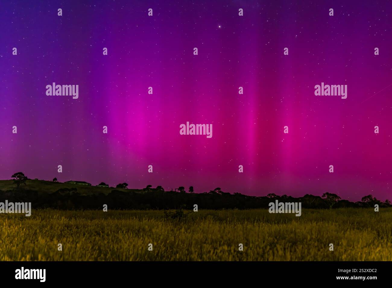 The Southern Lights - Aurora Australis and the predawn night sky filled ...