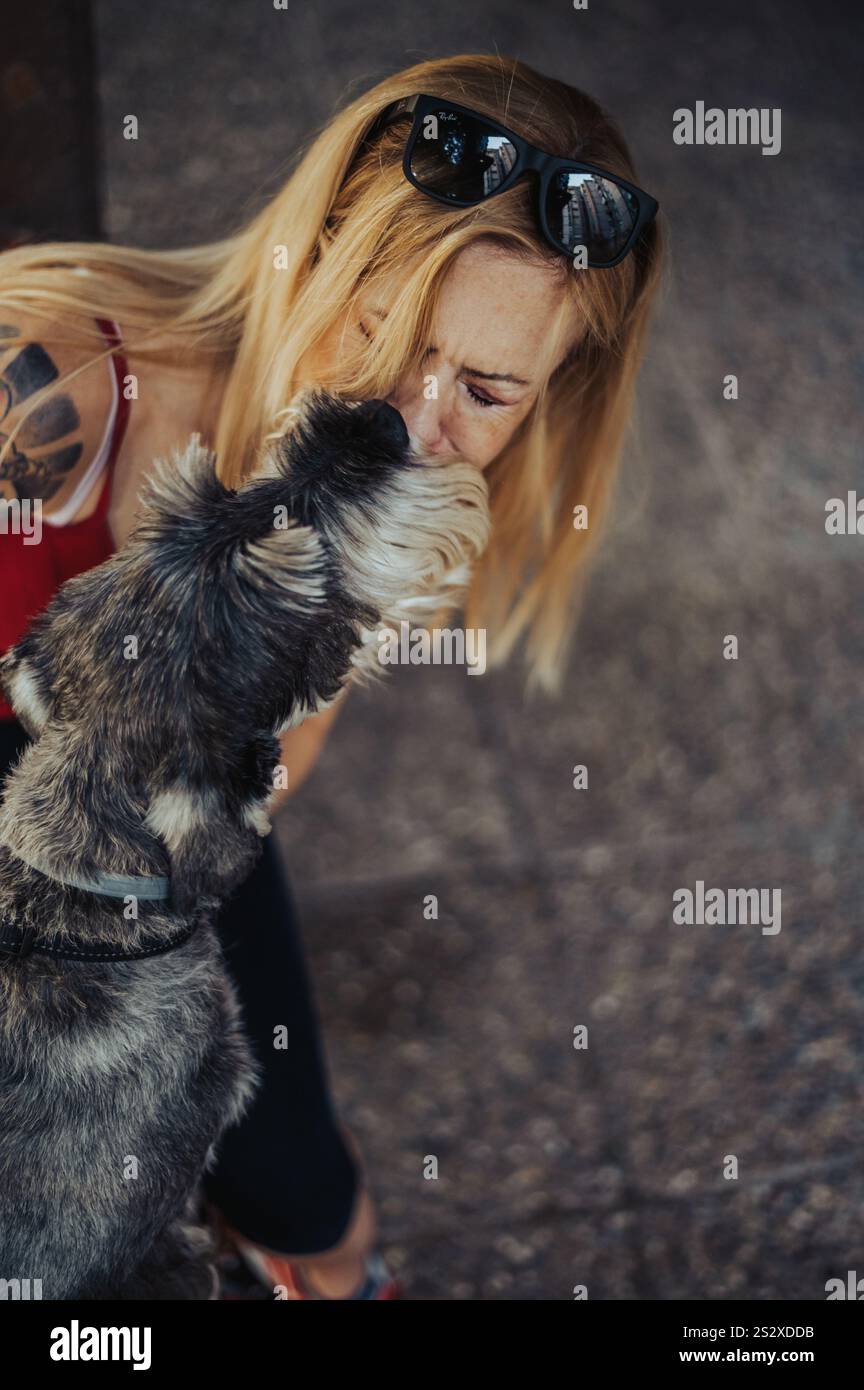 Pure breed dog kissing its owner in the mouth while sitting on the ...
