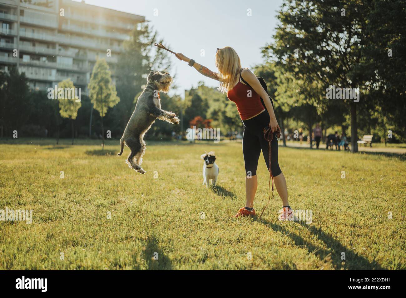 Funny woman follow walking in hi-res stock photography and images - Alamy