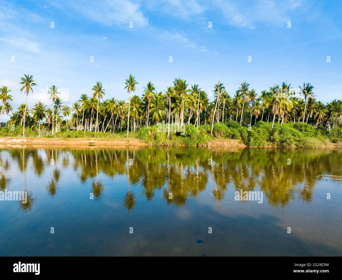 Aerial view tropical lake coconut hi-res stock photography and images ...