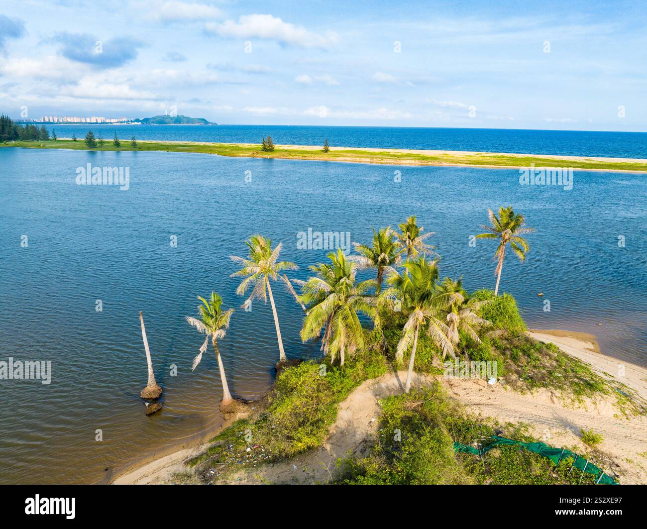 Coconut grove scenery at Coconut Island in Sanya, Hainan Stock Photo ...