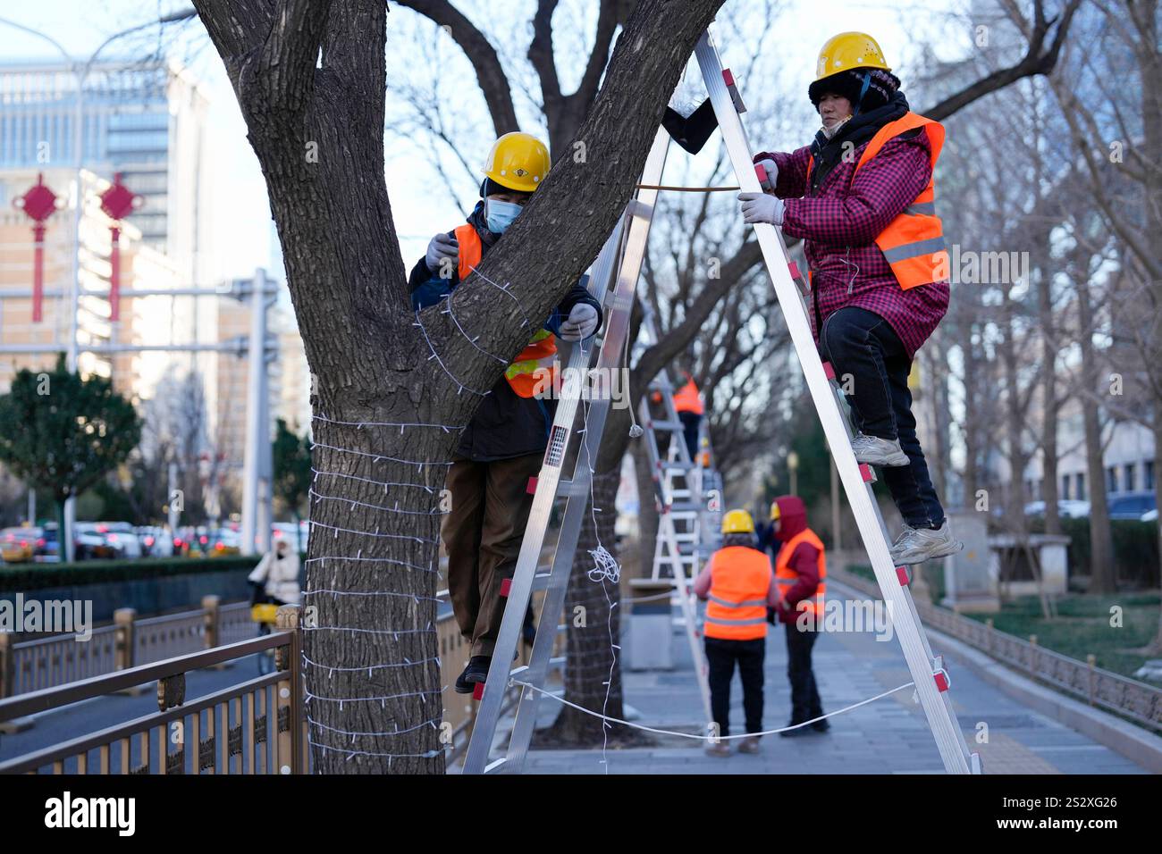 Workers place lights on trees on Wednesday, Jan. 8, 2025, in Beijing ...
