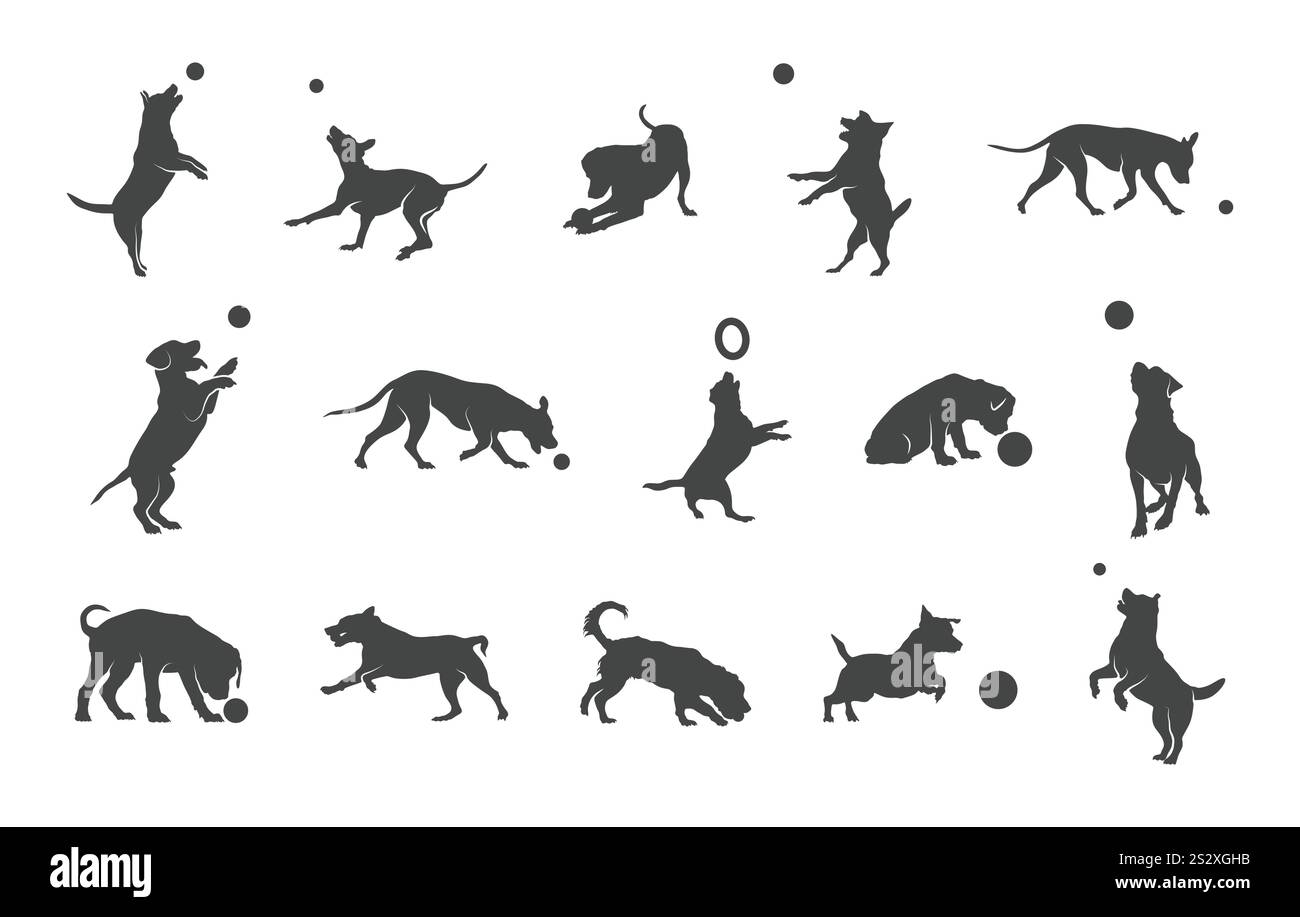 Dog playing svg hi-res stock photography and images - Alamy