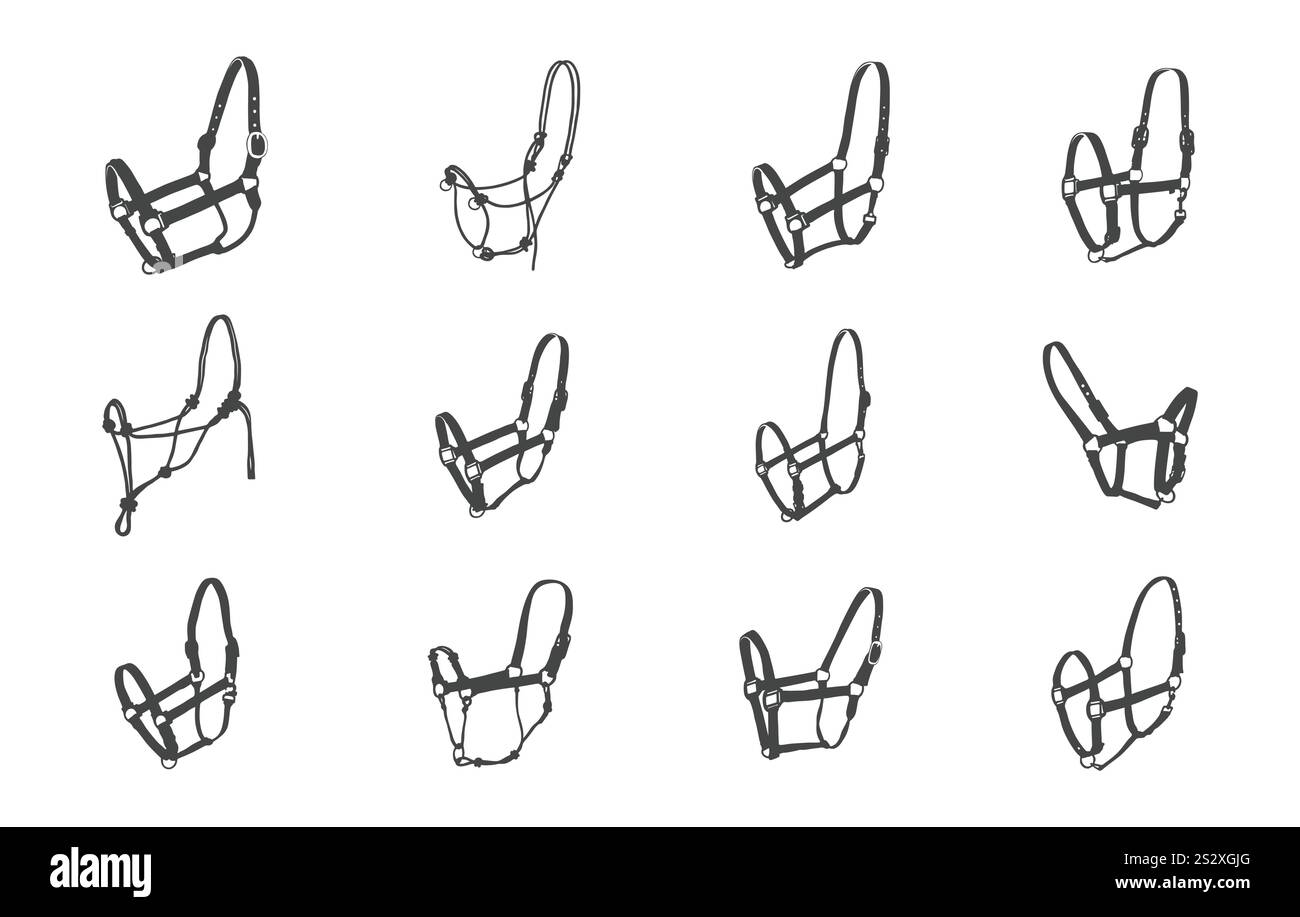 Horse halter silhouette, Horse halter vectors, Halter silhouette ...