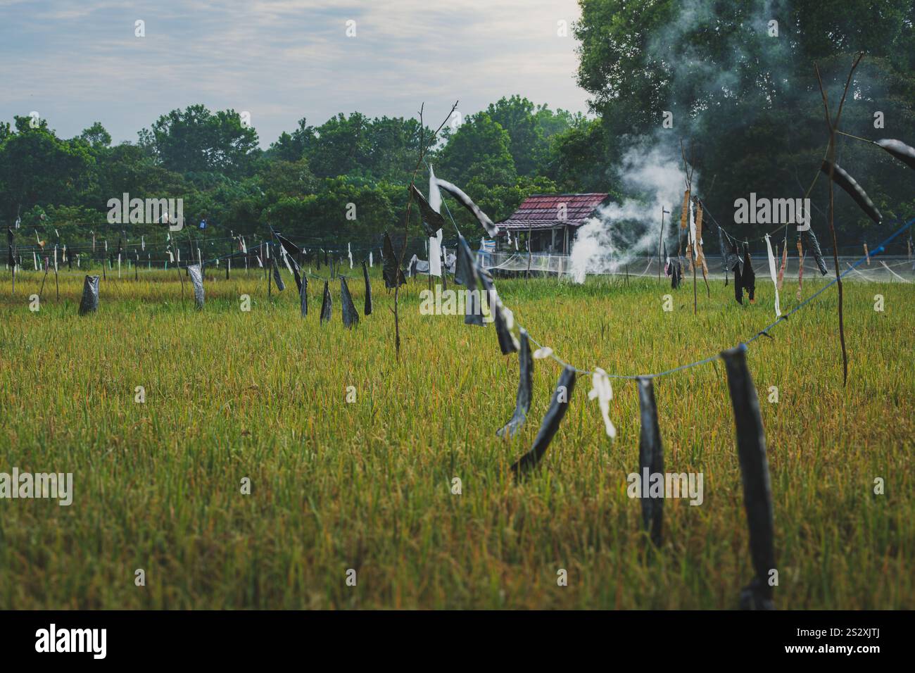 Smoke is rising from the house, and there are several flags and ...