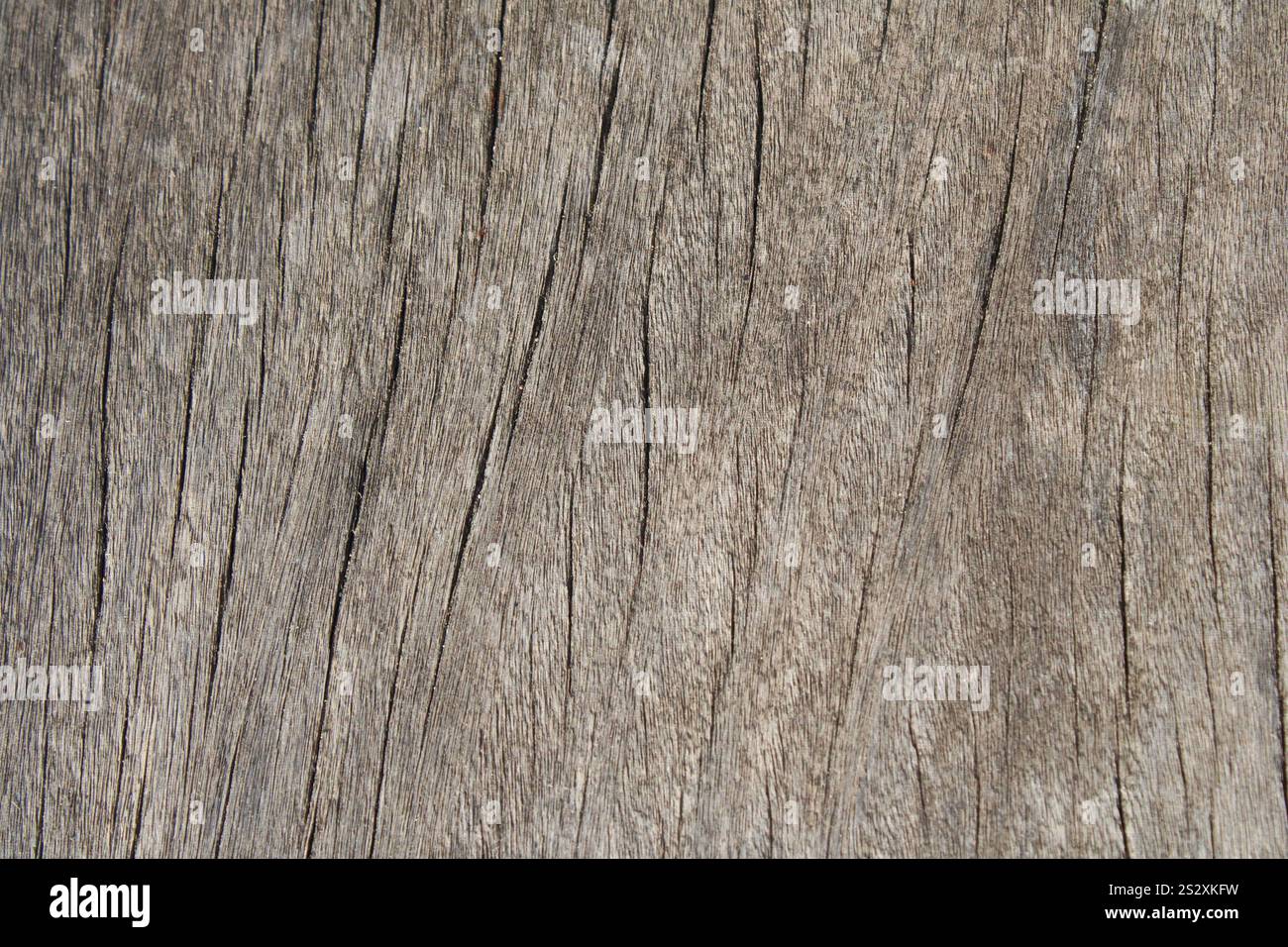 Weathered plank wood grain texture resource Stock Photo - Alamy