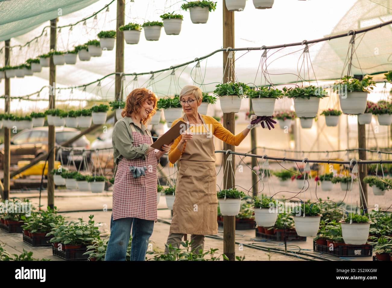 Two female botanists are examining plants in there vertical garden ...