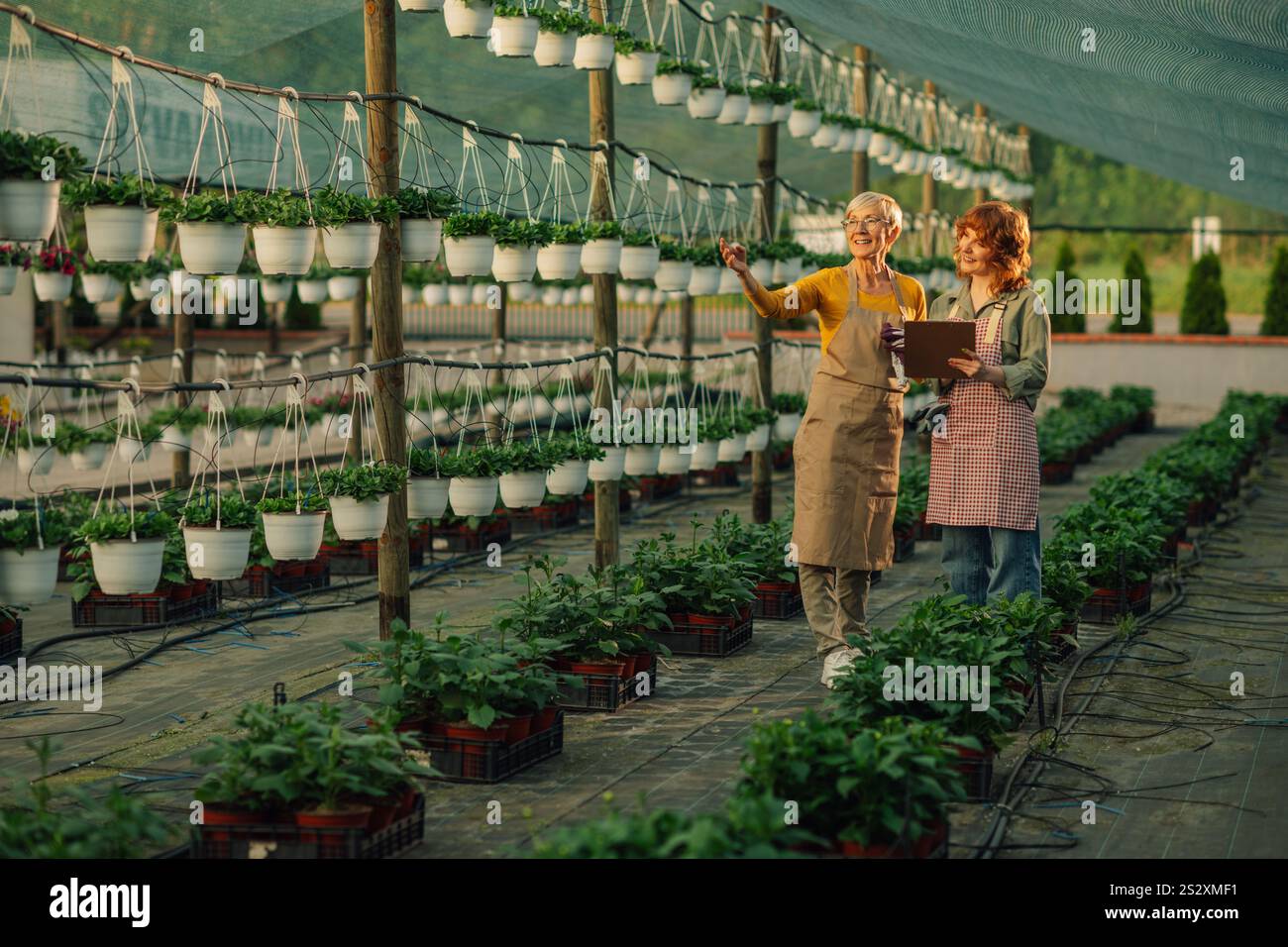Old female horticulturalist is showing plants in flower pots to ...