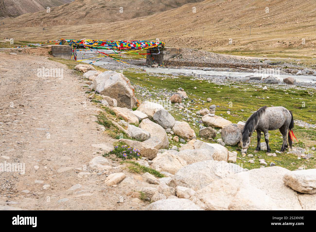 The horse at the Southwest side of Mount Kailash, Tibet Autonomous ...