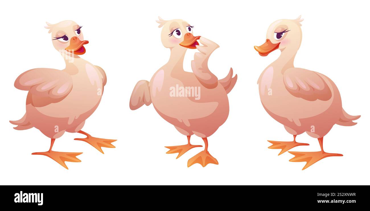 Cute duck character set - plump pink waterfowl with expressive eyes and ...