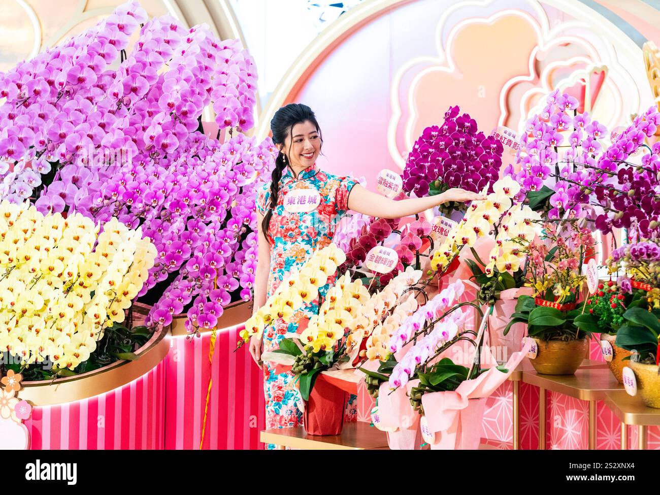 Enjoy chinese new year orchids hi-res stock photography and images - Alamy