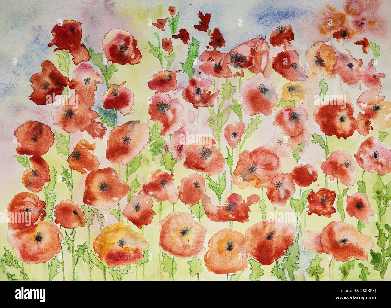 Poppy field watercolor art work. The dabbing technique near the edges ...