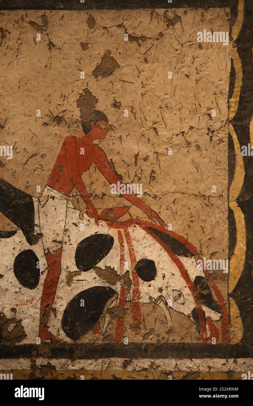 Ritual Slaughter of ox, held down by ropes. Tempera painting. Detail of ...