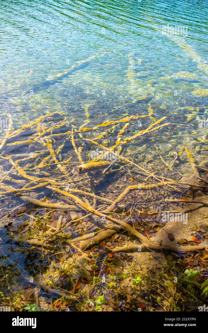 Lake water surface. The tranquil transparent waters of lake in the ...