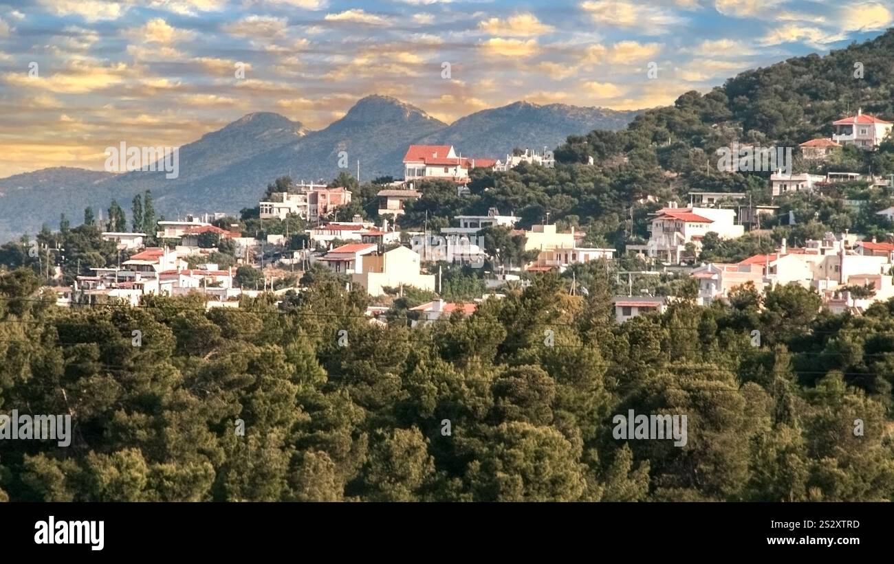 Spata artemida hi-res stock photography and images - Alamy