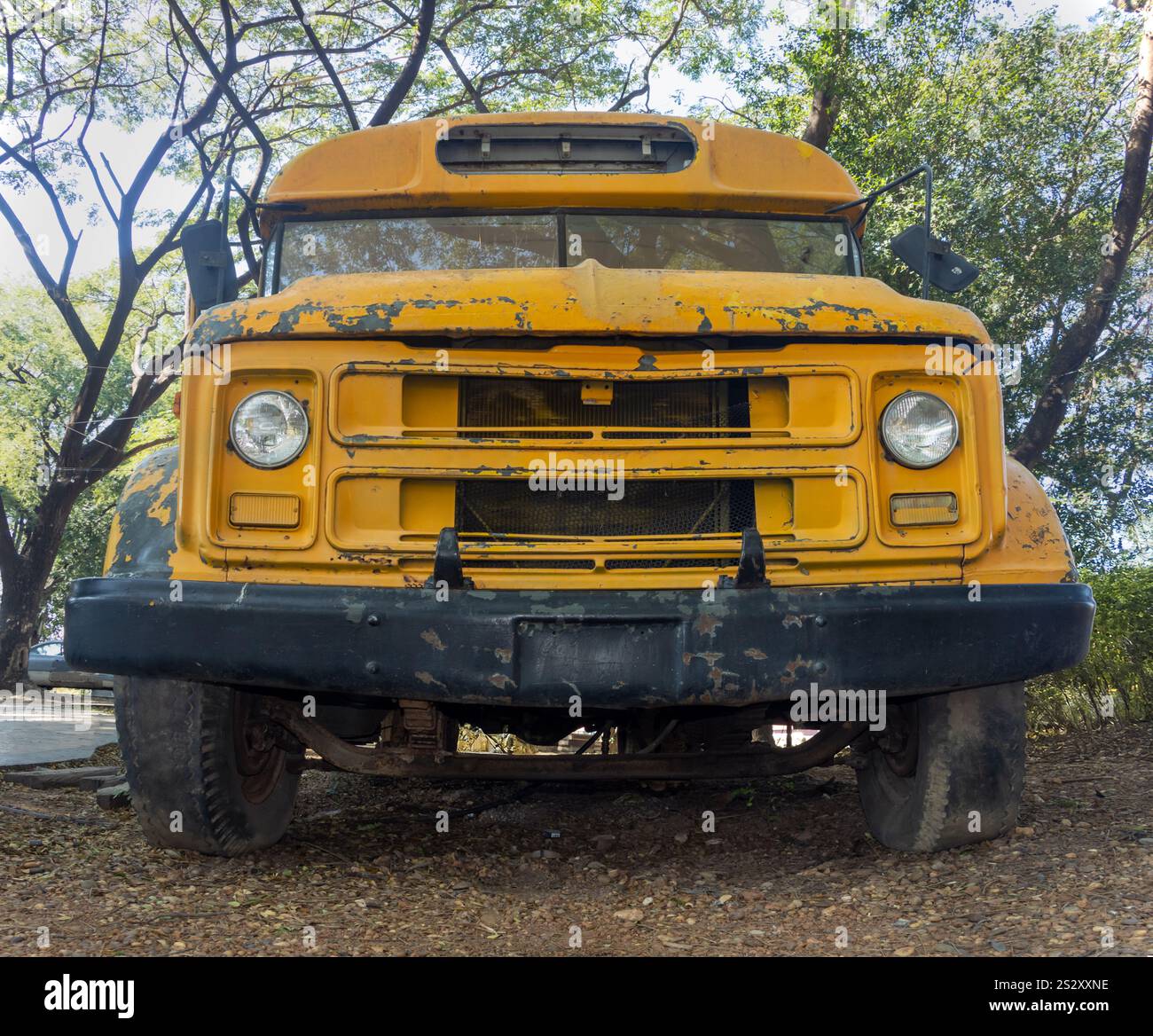 A front of an old school bus parked under a trees Stock Photo - Alamy