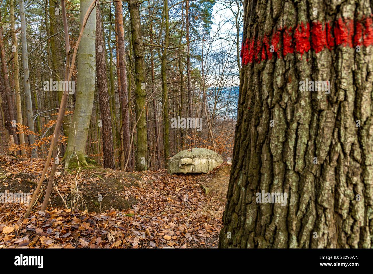 Old destroyed concrete bunkers at shooting positions, Gdynia area ...