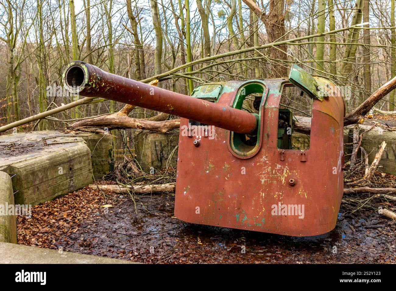 Fire pits in the forest on the coast in Gdynia, military monuments ...