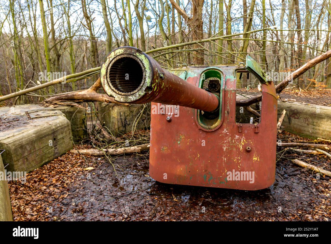 Fire pits in the forest on the coast in Gdynia, military monuments ...