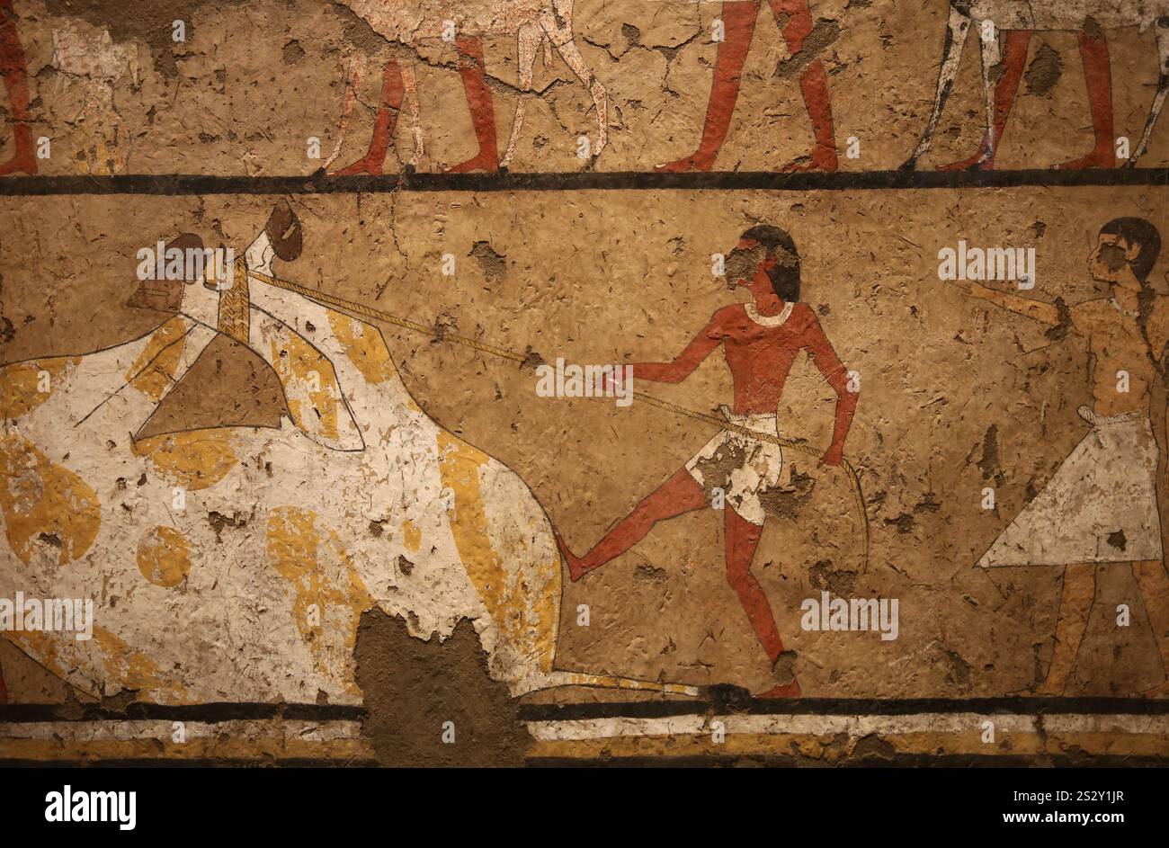 Ritual Slaughter of ox, held down by ropes. Tempera painting. 1st ...