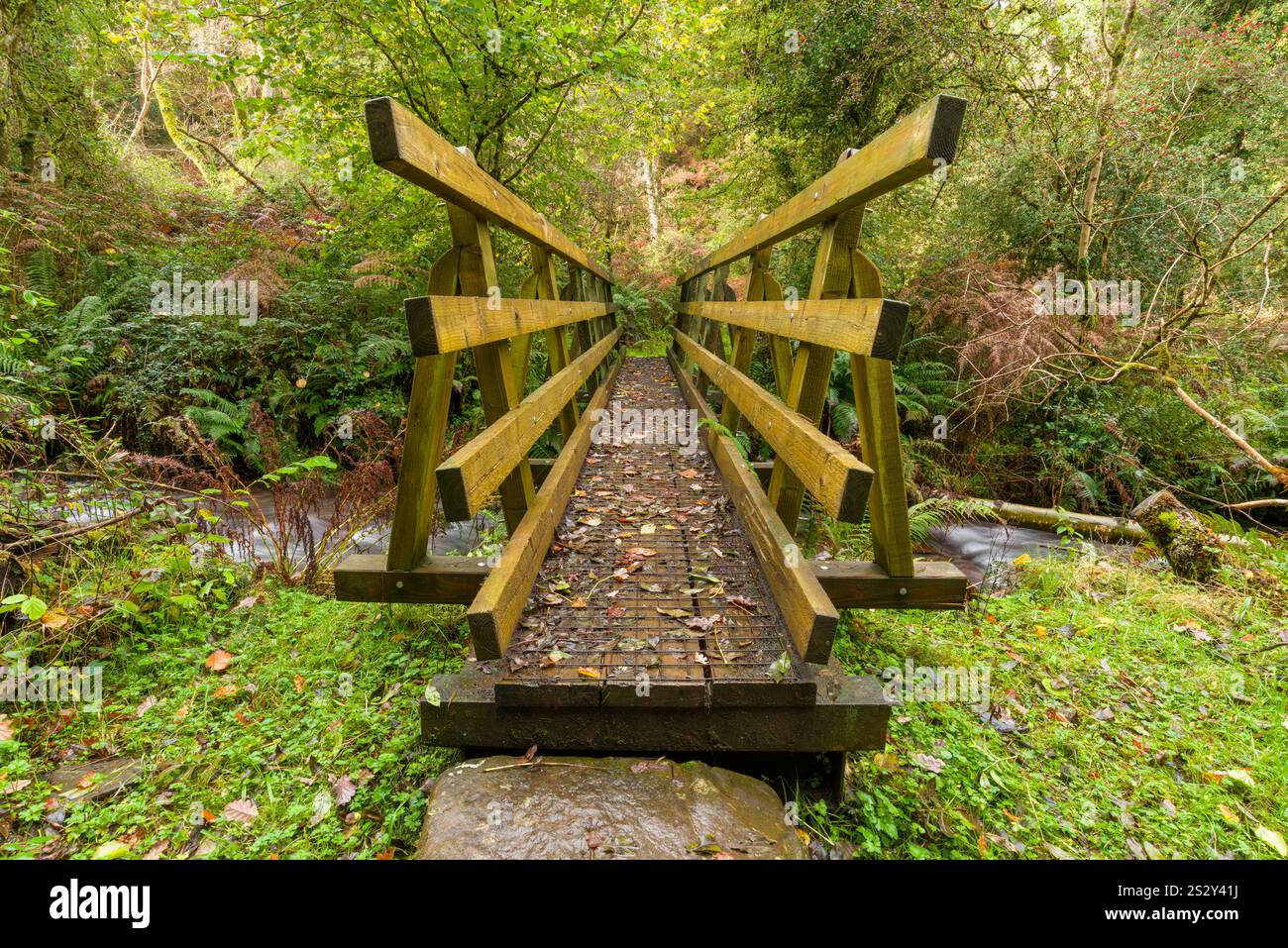 The footbridge over East Water at Parsons Wood in Exmoor National Park ...