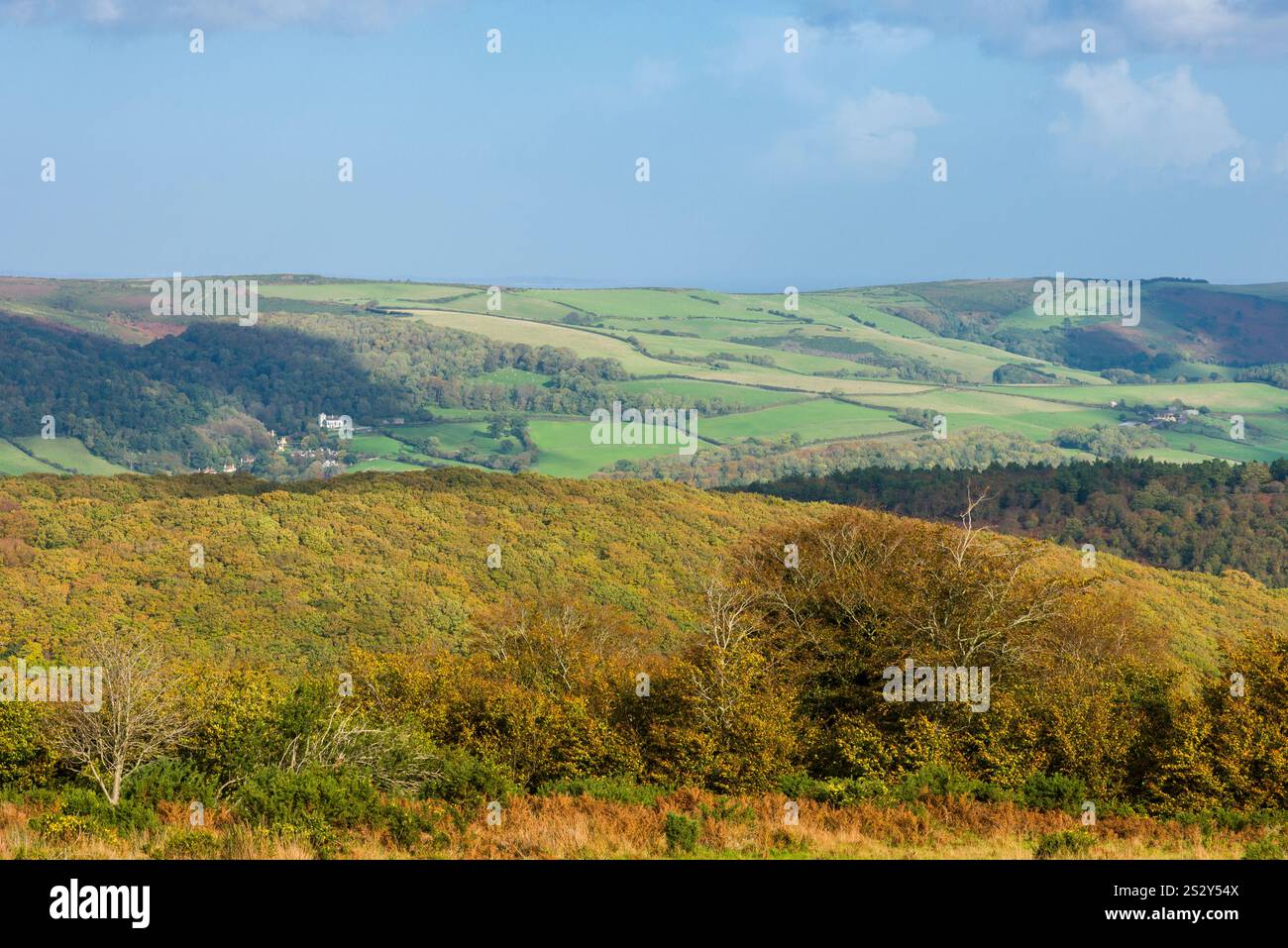 Horner Wood with Porlock Vale and Selworthy village beyond from Stoke ...