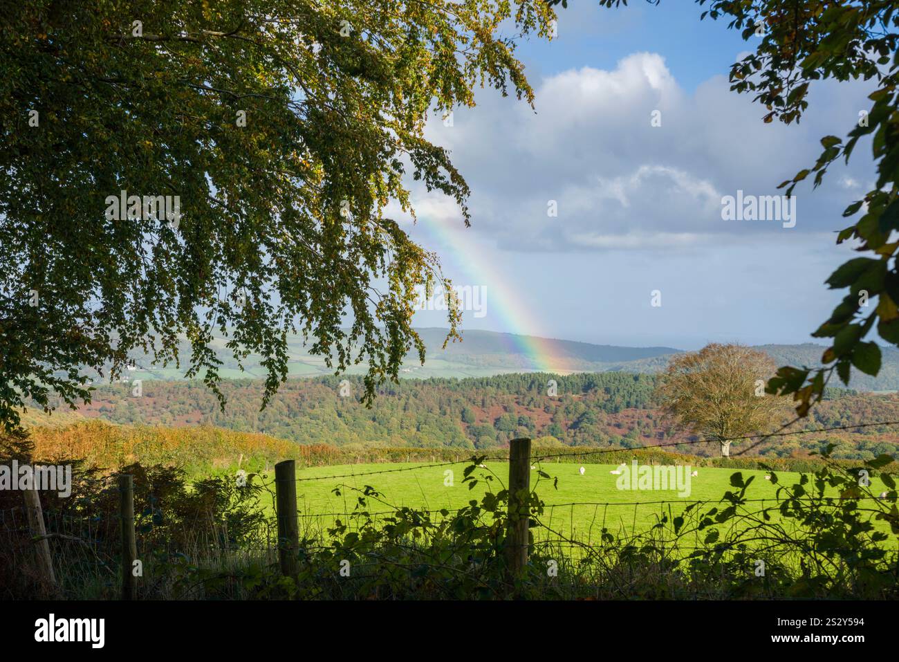 A rainbow over Horner Hill viewed from Cloutsham Gate in the Dunkery ...