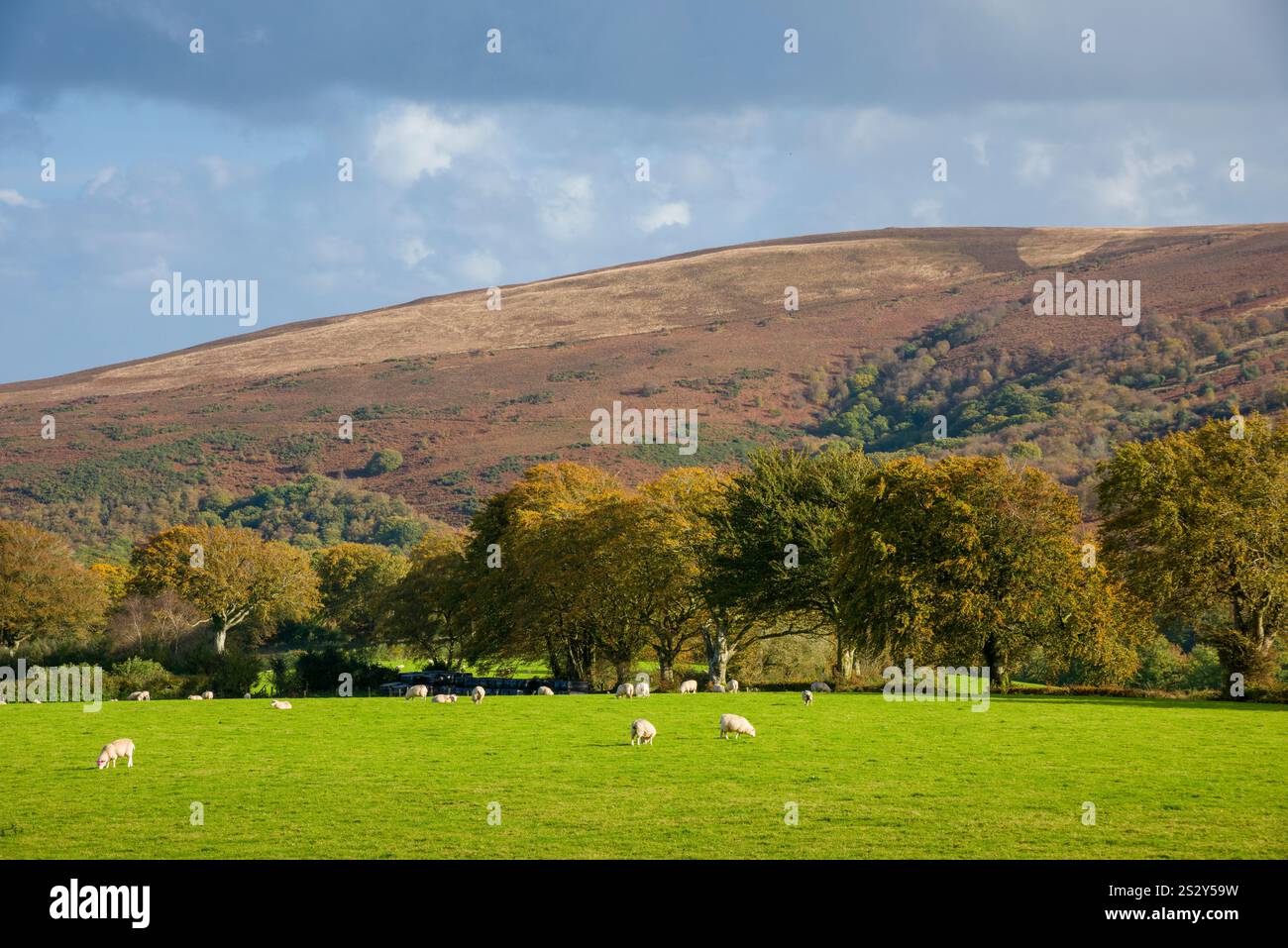 Easter Hill and Hollow Combe on the north slope of Dunkery Hill from ...