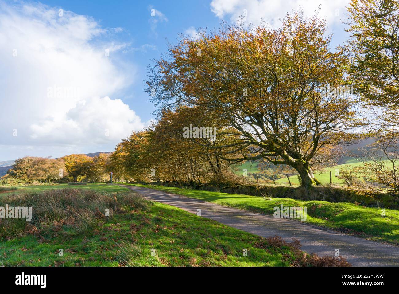 Country gate along lane hi-res stock photography and images - Alamy
